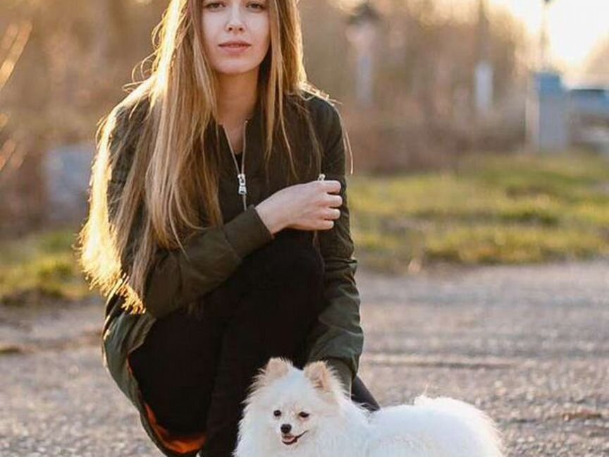 Собаки и щенки системы скор