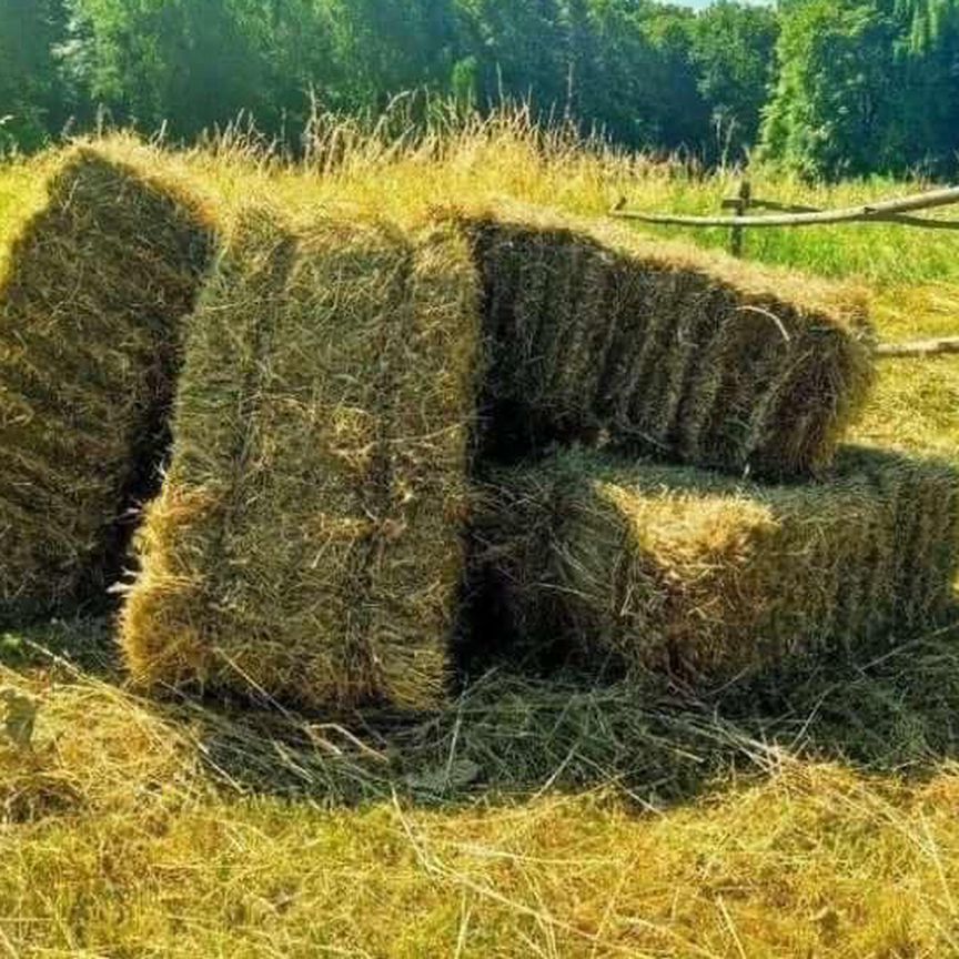 Тюк сена, сено в тюках (разнотравье)