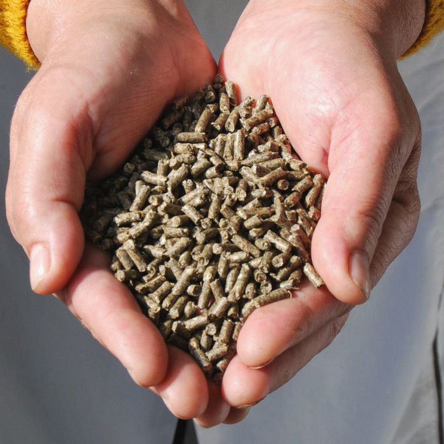 Комбикорма Оптом, Ищем дилера