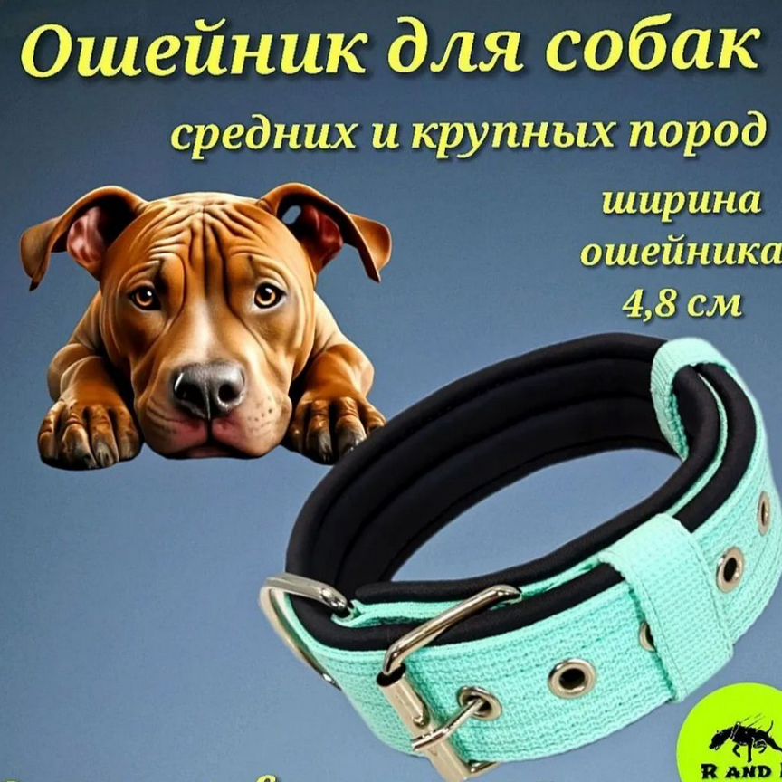 Ошейник для собак средних и крупных пород