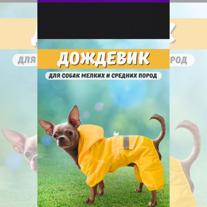 Одежда для маленьких собак