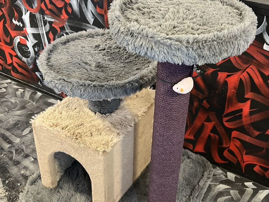 Домик + когтеточка с лежанками для кошек