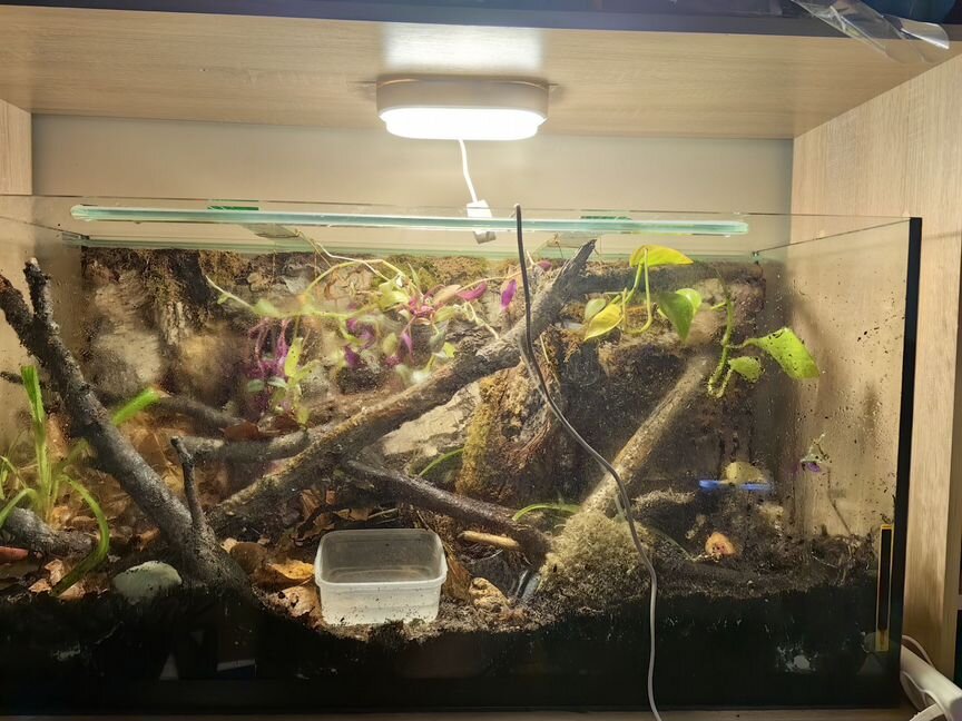 Аквариум террариум 200 литров