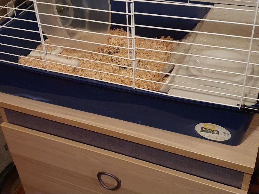 Клетка большая