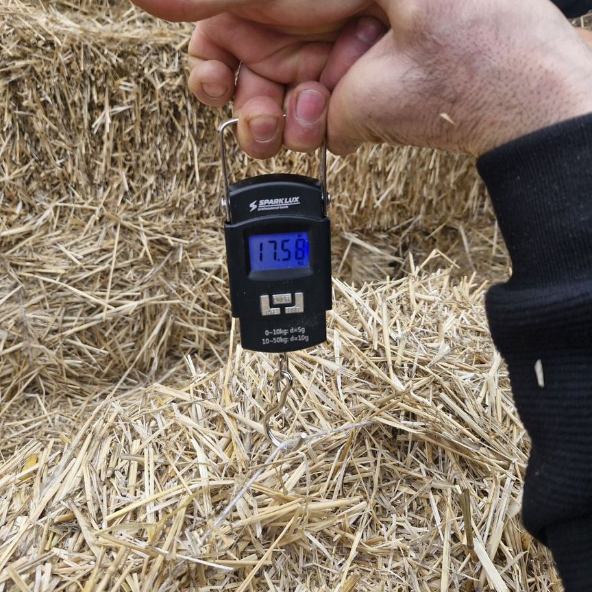 Салома в тюках