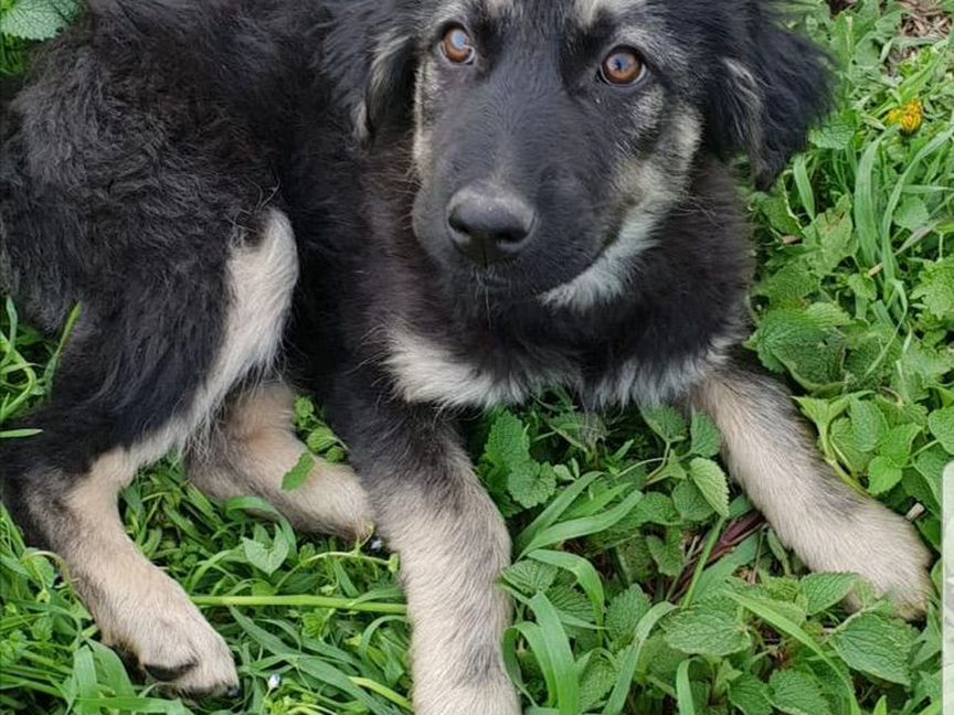 Лучше Ромки не найти