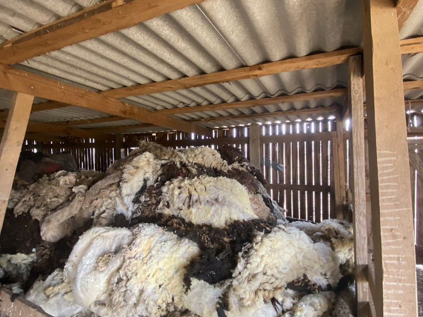 Шерсть овечья