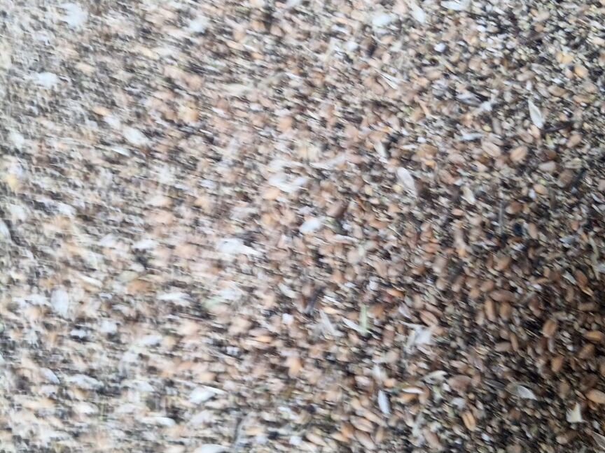 Зерноотходы