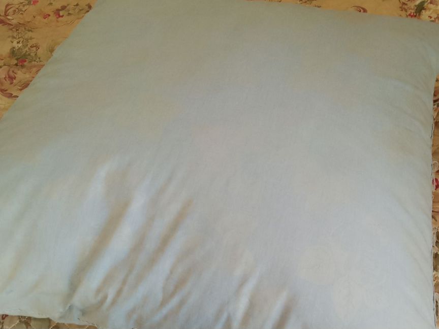 Гусиное перо