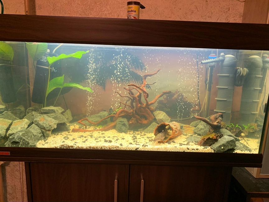 Аквариум Eheim 180 литров (+тумба и фильтр)