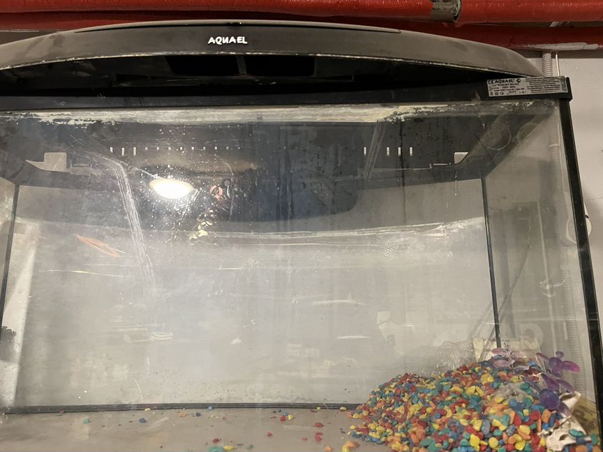 Аквариум 80:42:28