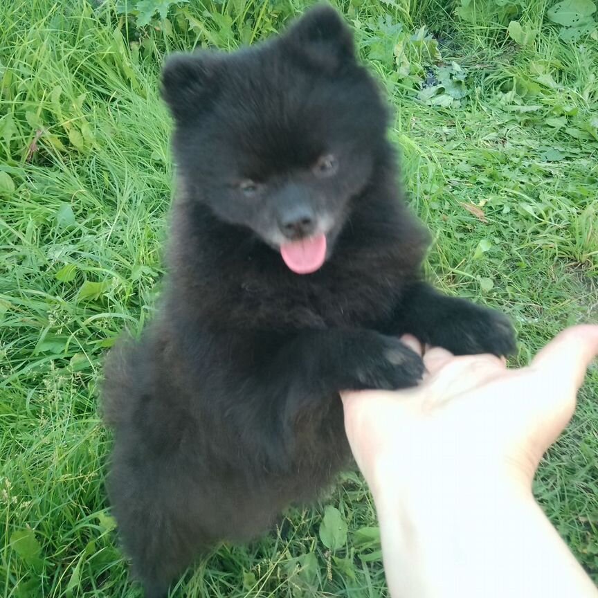 Мальчик ищет девочку