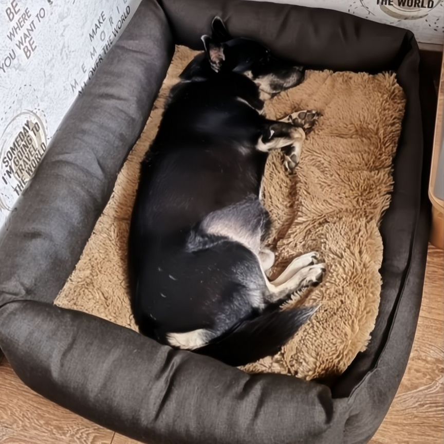 Лежанка 80х60