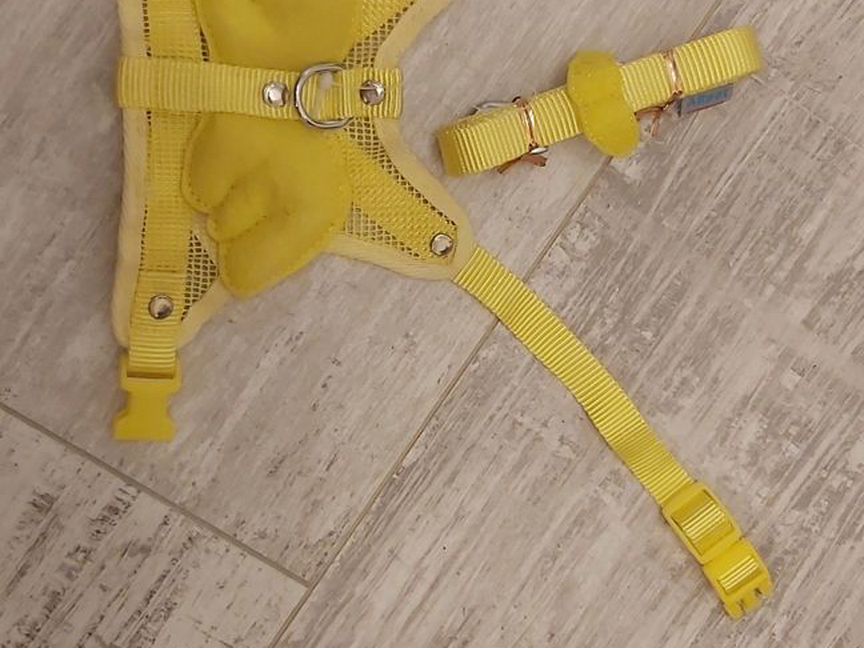 Шлейка для маленькой собачки или кошки