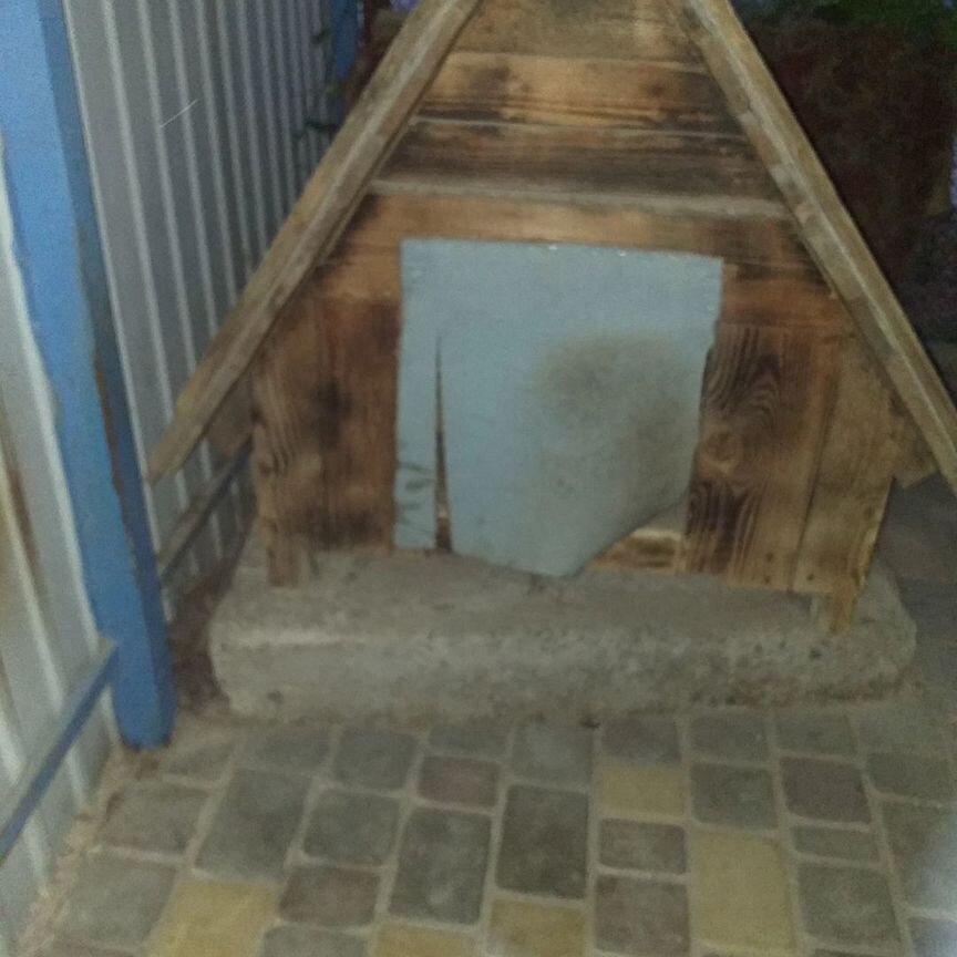 Отдам будку