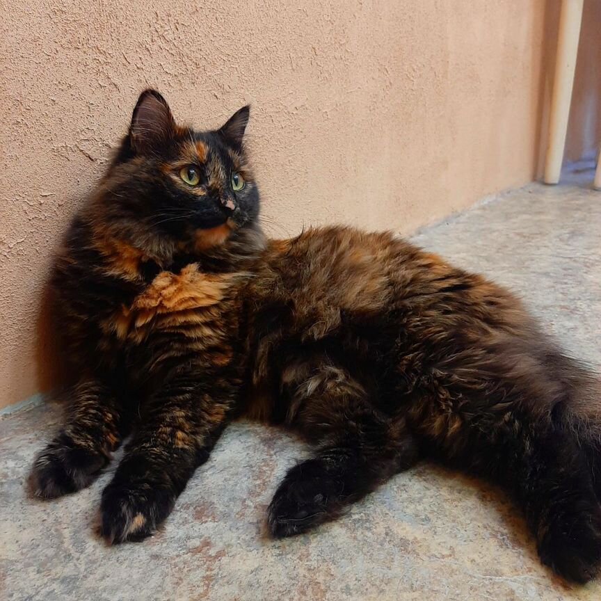 Диана 1,5 годика