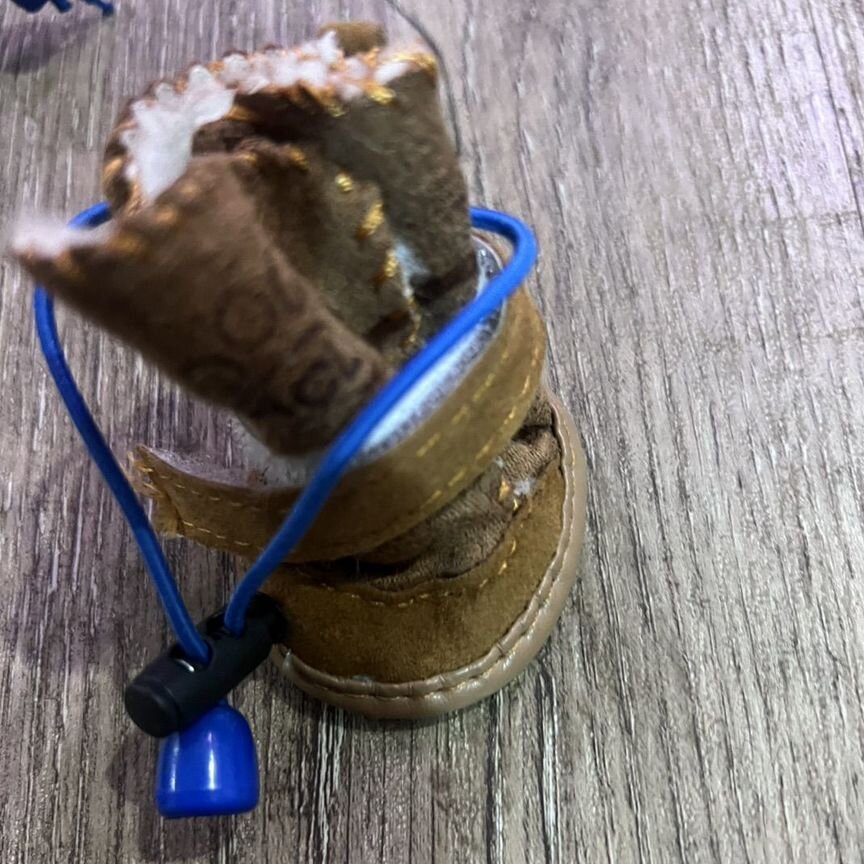 Шапочка и сапожки для собак маленьких пород