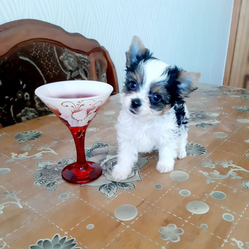 Супер мини девочка