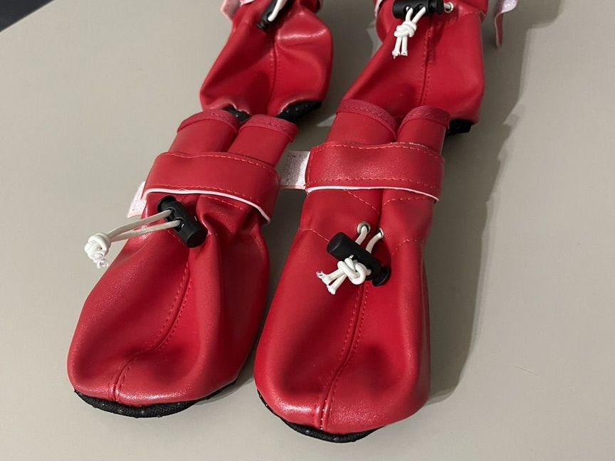 Обувь для крупной собаки