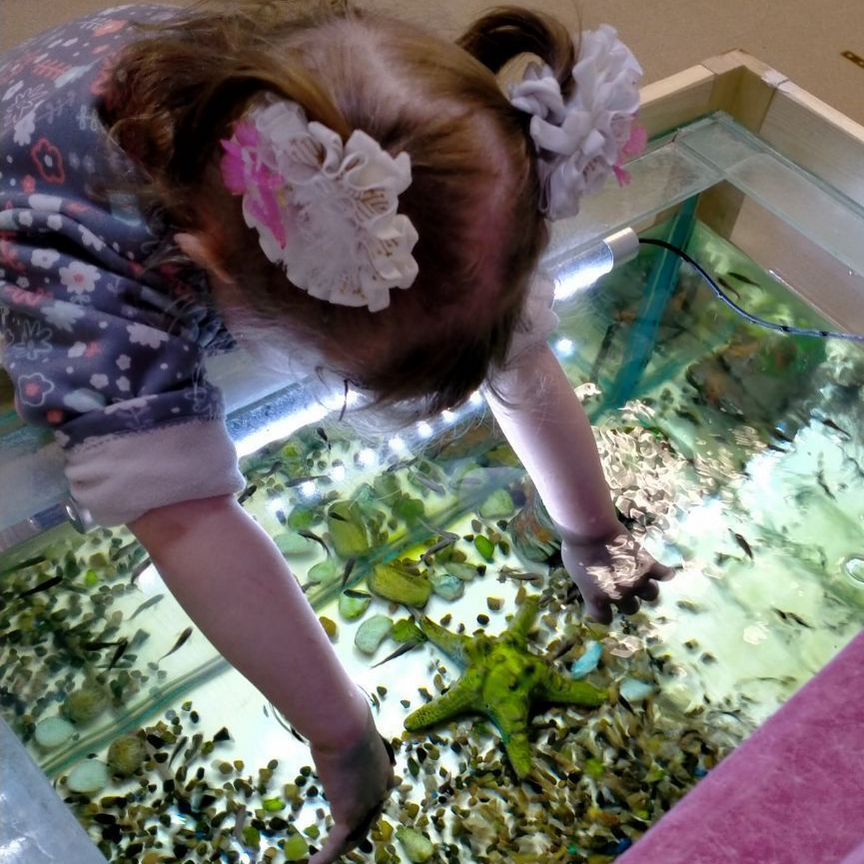 Аквариум на 200 литров,с деревянным каркасом