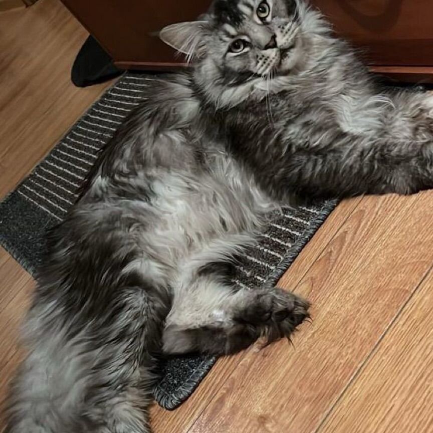 Мэйн кун