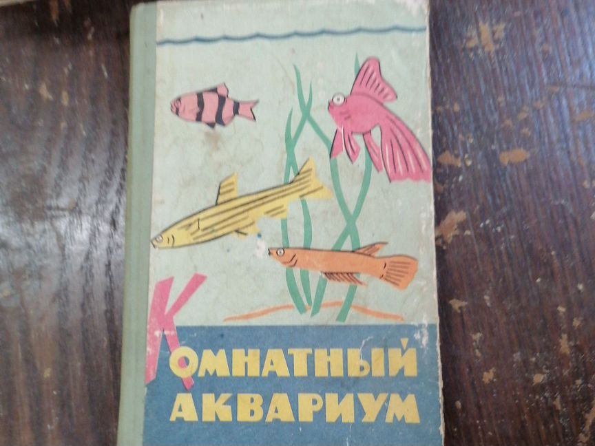 Кинга аквариумистика