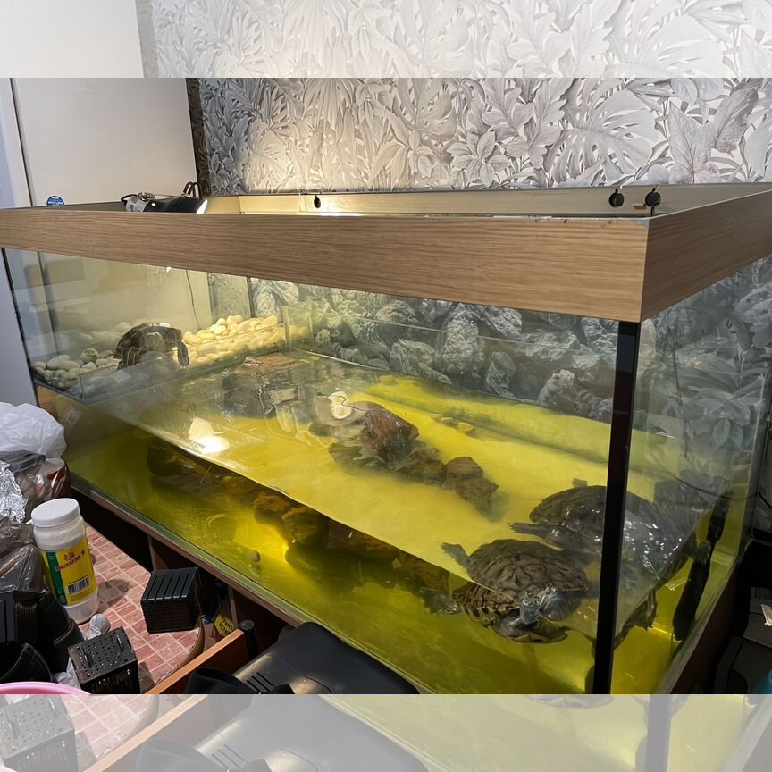 Черепашник с берегом 600 литров