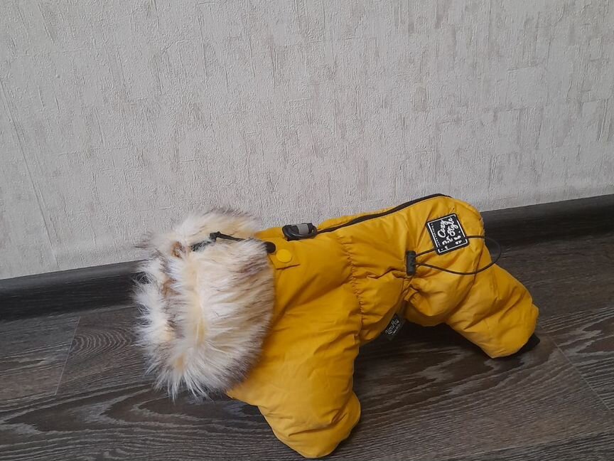 Одежда для маленьких собак