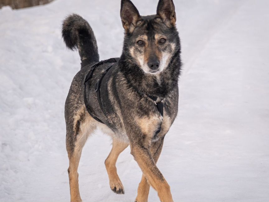 Неприметные старушки из приюта никому не нужны