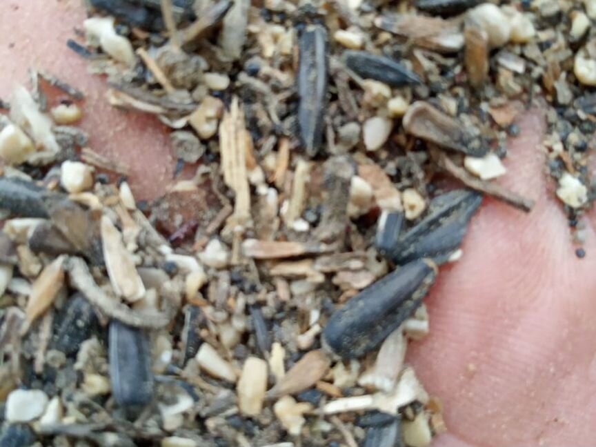 Отходы семечки