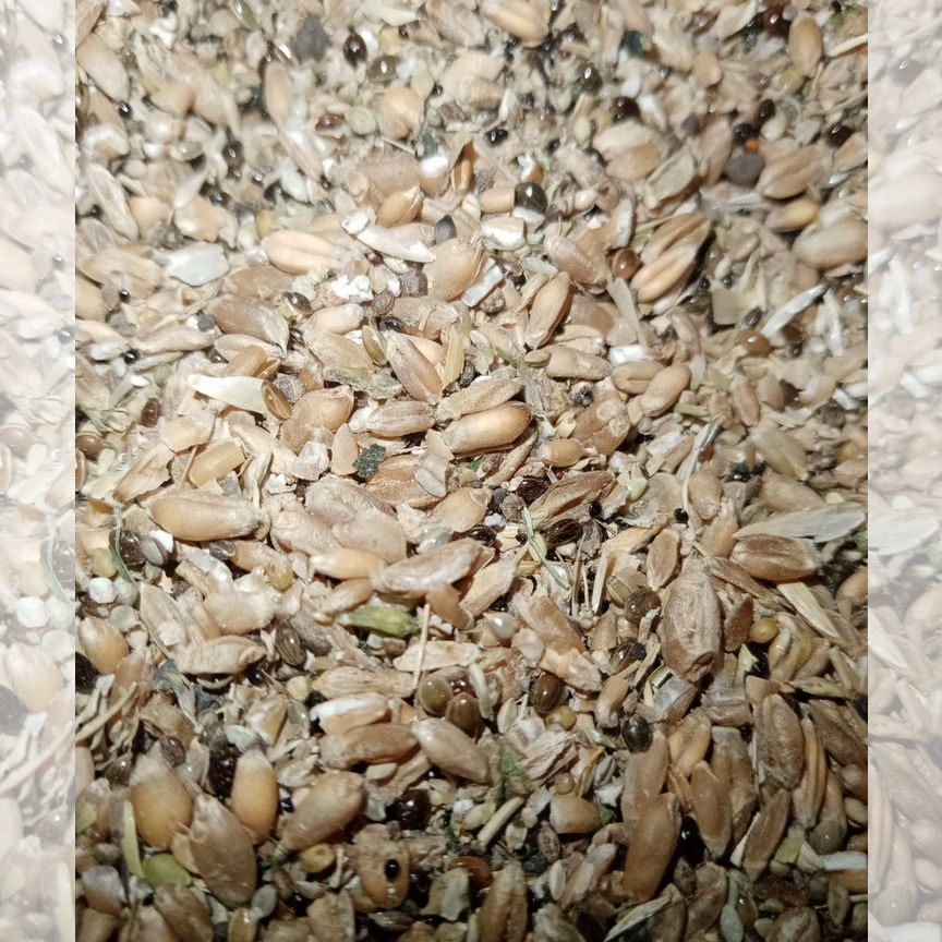 Зерноотходы для животных