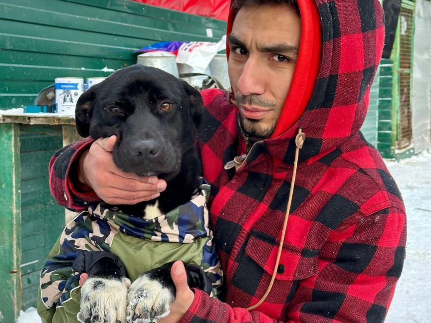 Звездочка Олаф ждет тебя в приюте