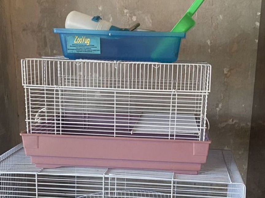 Клетка triol