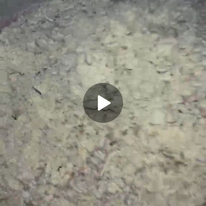 Горох мучка