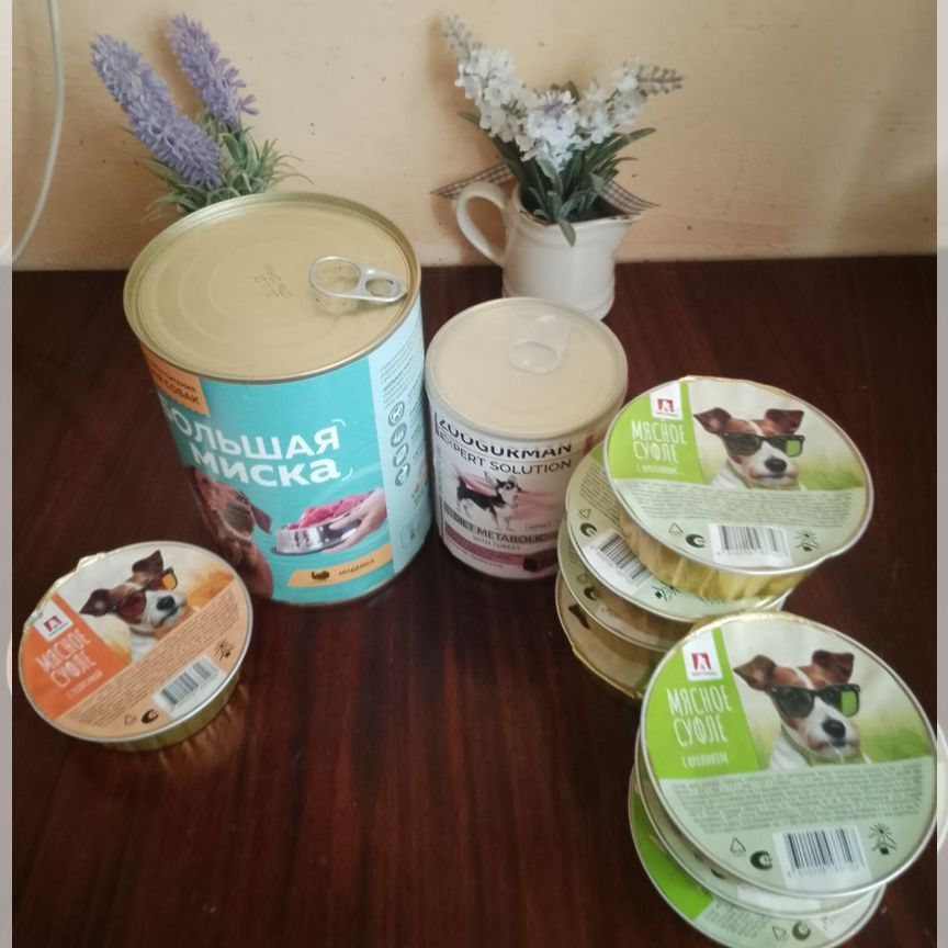 Корм для собак сырой