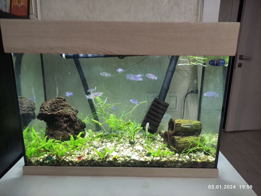 Аквариум 60л