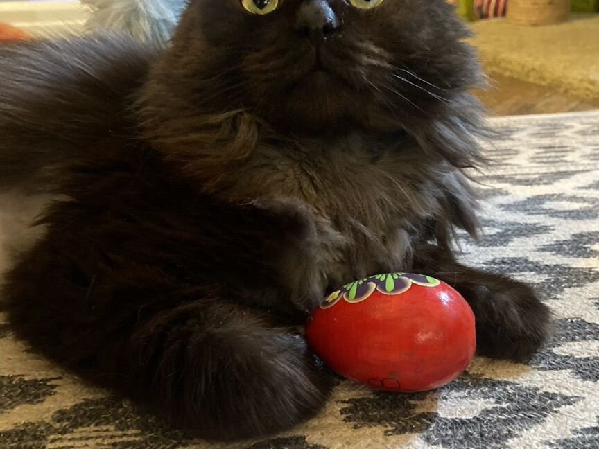 Беззубик из мультика