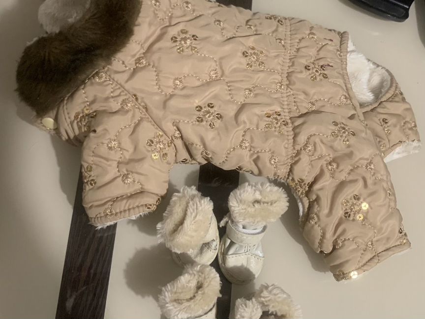 Одежда для собак минипород