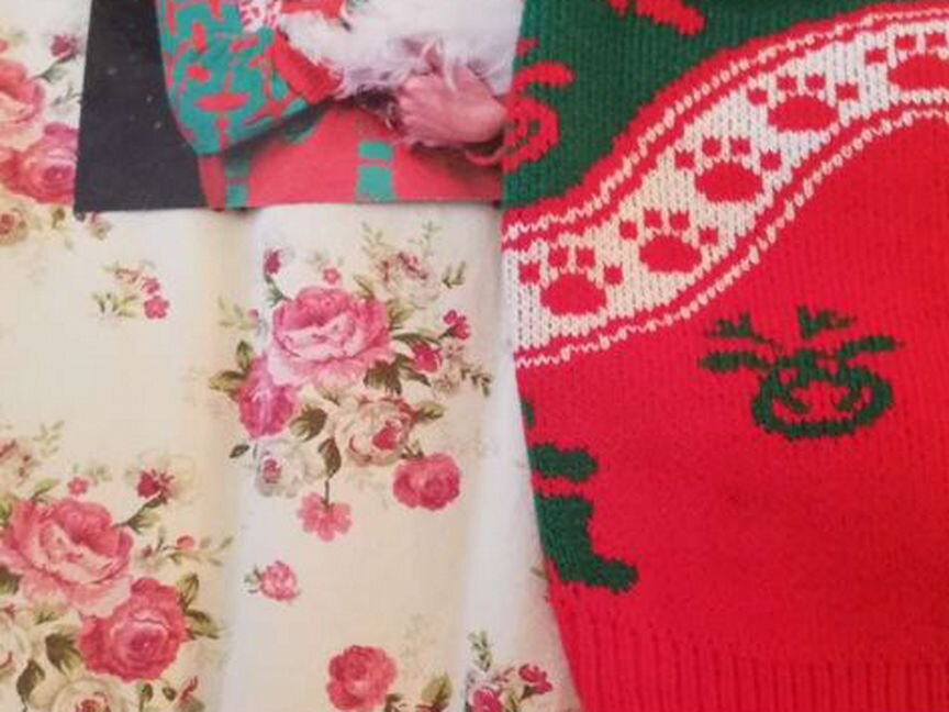 Вещи для маленькой собаки