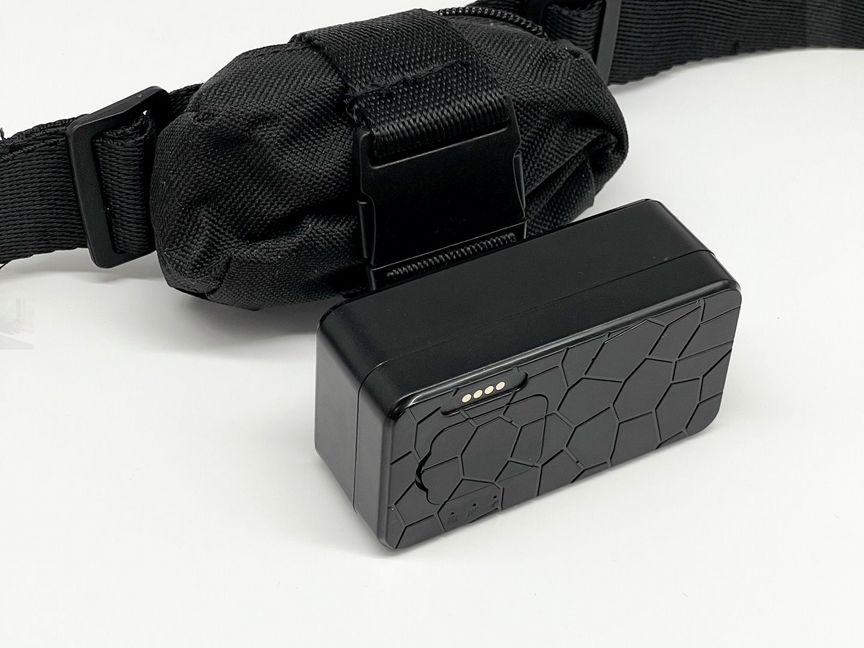 Gps tracker для лошадей