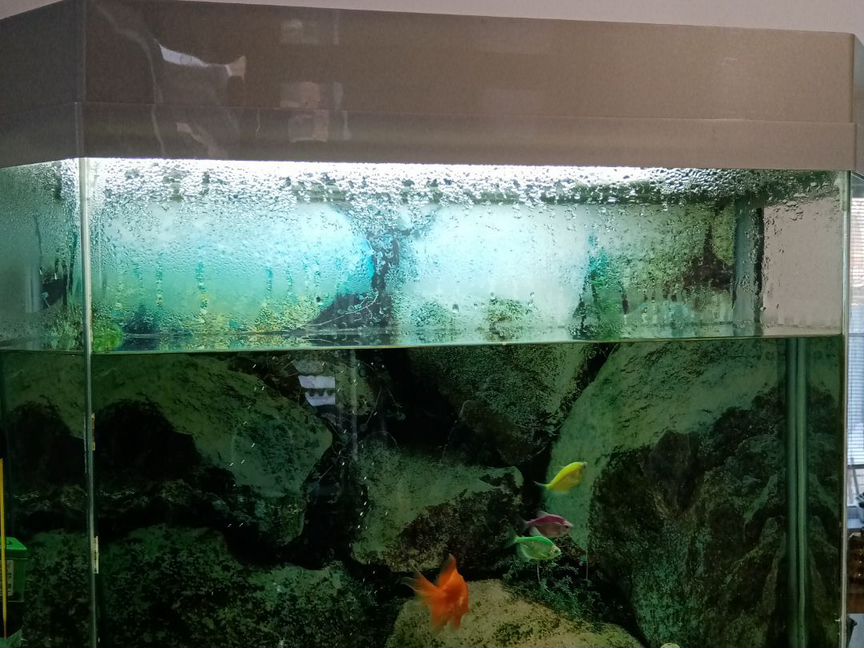 Аквариум