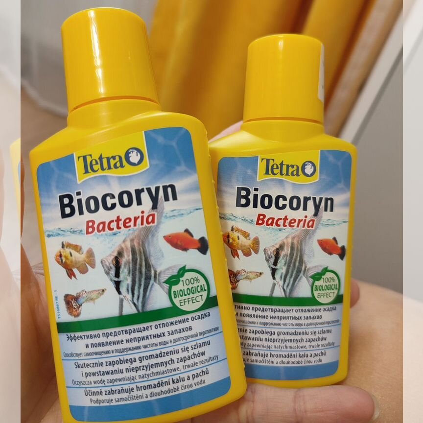 Tetra biocoryn bacteria