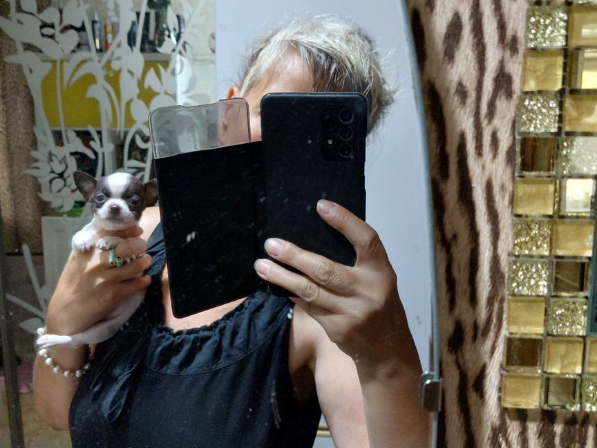 Чих Сладкий Кекс