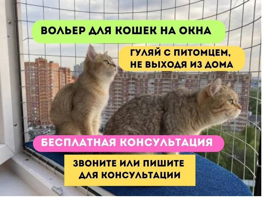 Балкон для кошек