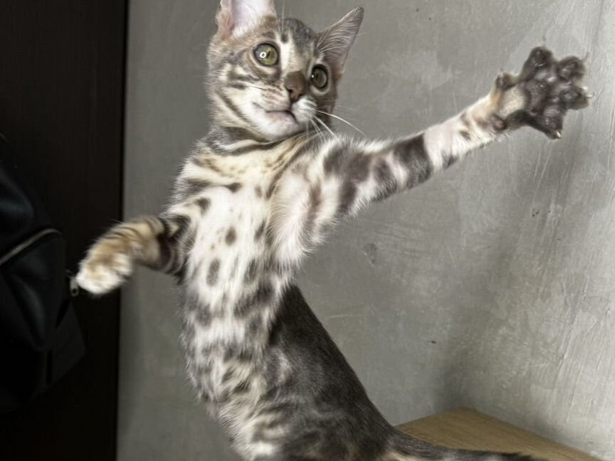 Эксклюзивный подарочек