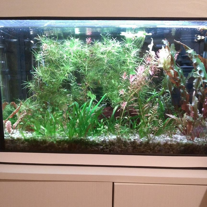 Аквариум с тумбой