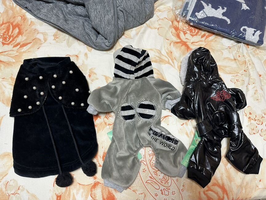 Одежда для собак