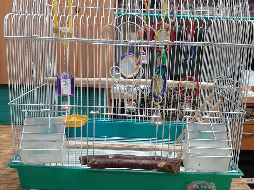 Клетка для птиц