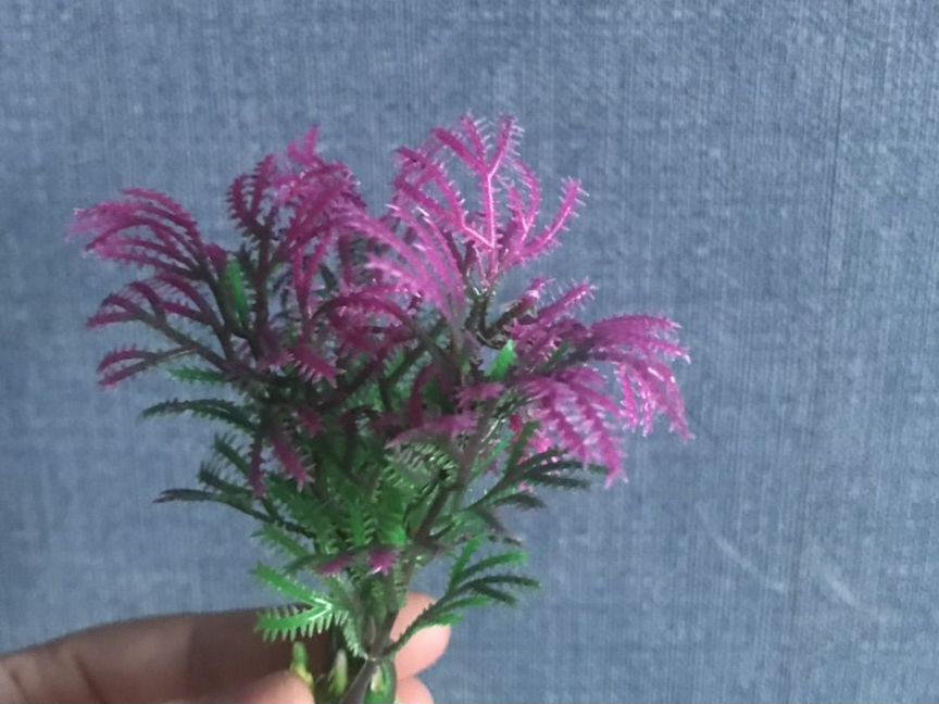 Водоросли для аквариума (2шт)