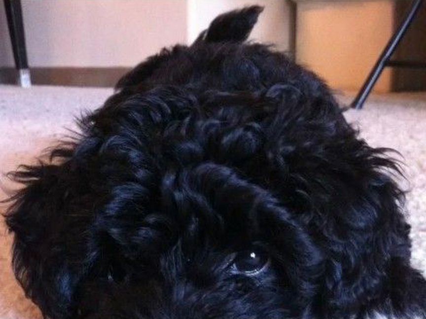 Очаровашка